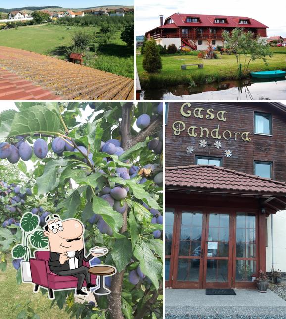 Top 5 places to eat in Cristian, Sibiu, november 2024 - Restaurant Guru