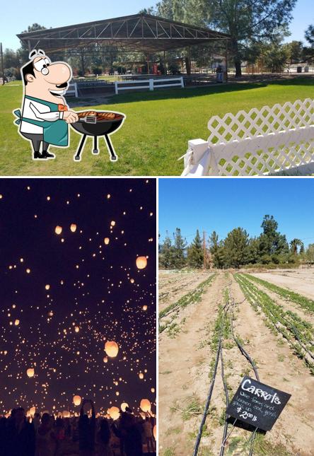 Schnepf Farms in Queen Creek - Restaurant reviews
