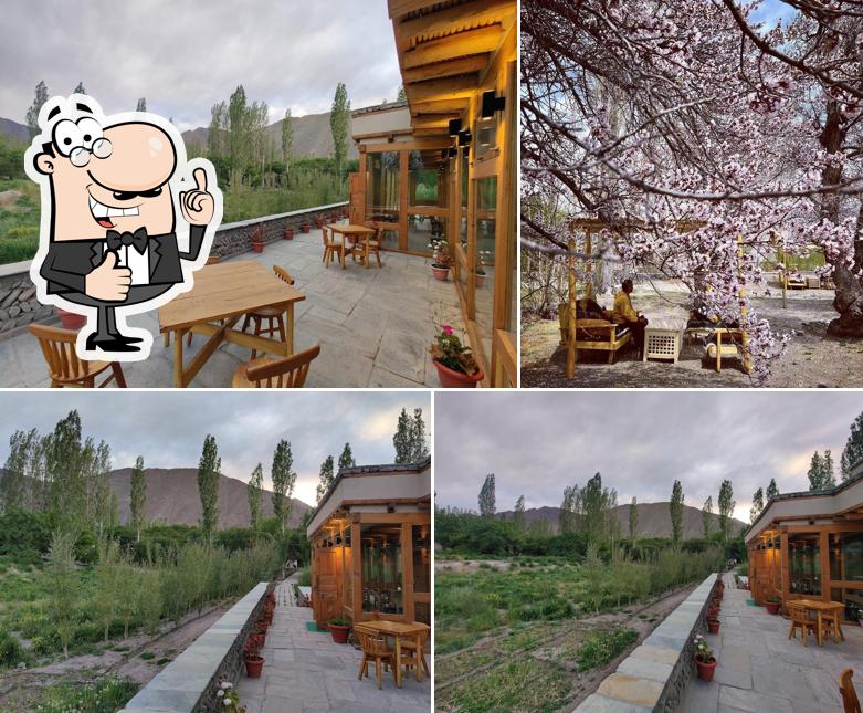 Willow Kitchen and Bar - Restaurant menu, prices and reviews
