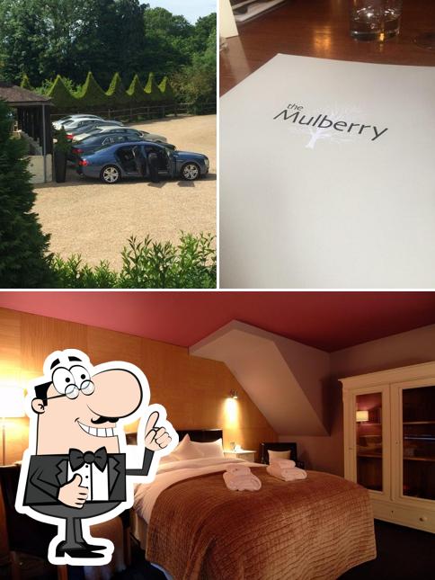 The Mulberry, Chiddingfold - Restaurant menu, prices and reviews
