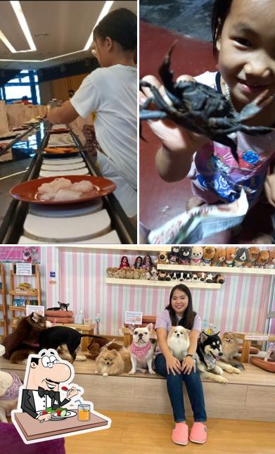Smile Dog Cafe คาเฟ่หมาเชียงใหม่ Chiang Mai, Chiang Mai - Restaurant ...