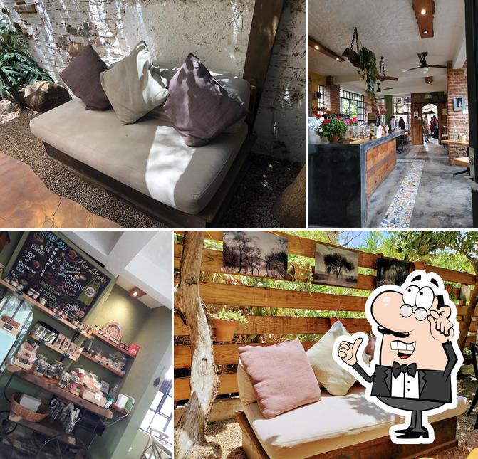 Rustica restaurant, San Miguel de Allende - Restaurant reviews