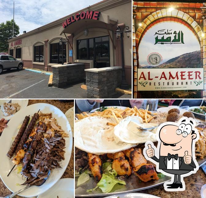 Al Ameer, Dearborn - Restaurant menu, prices and reviews