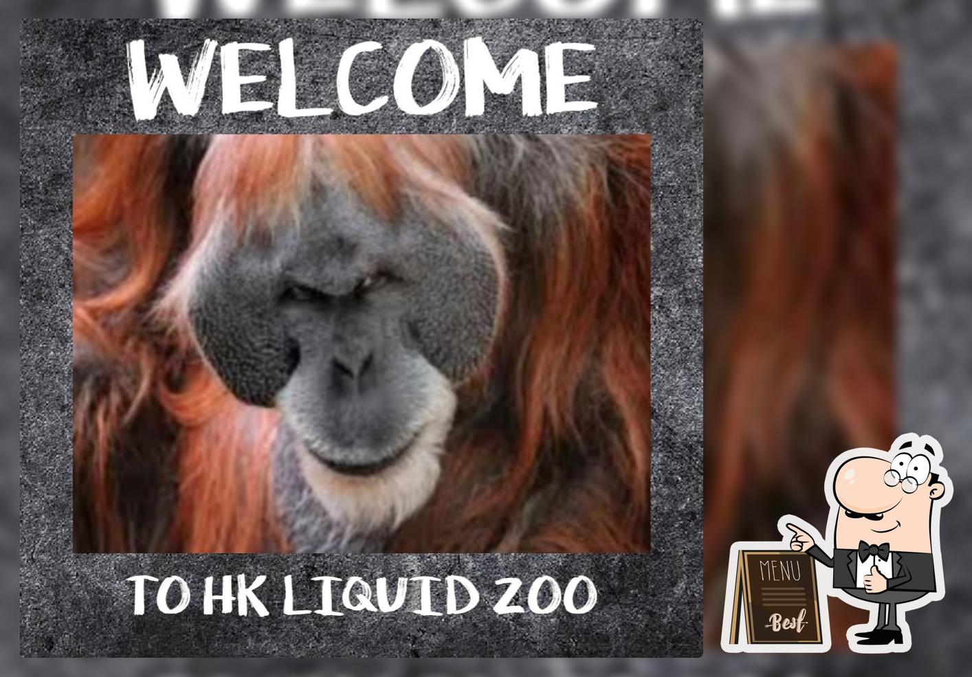 HK Liquid Zoo pub & bar, Pattaya City - Restaurant reviews
