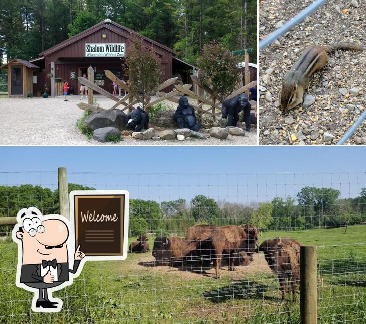 Shalom Wildlife Zoo in West Bend - Restaurant reviews