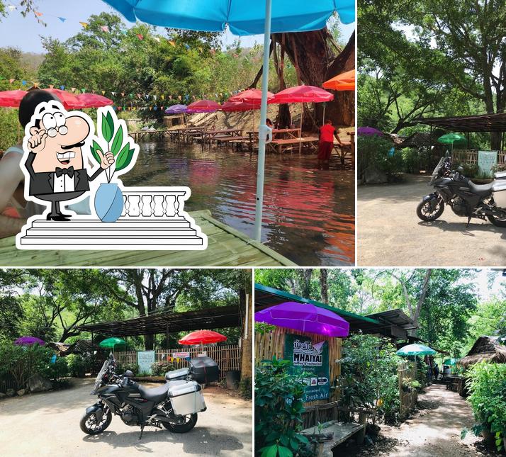 BIG TREE restaurant, Hang Dong