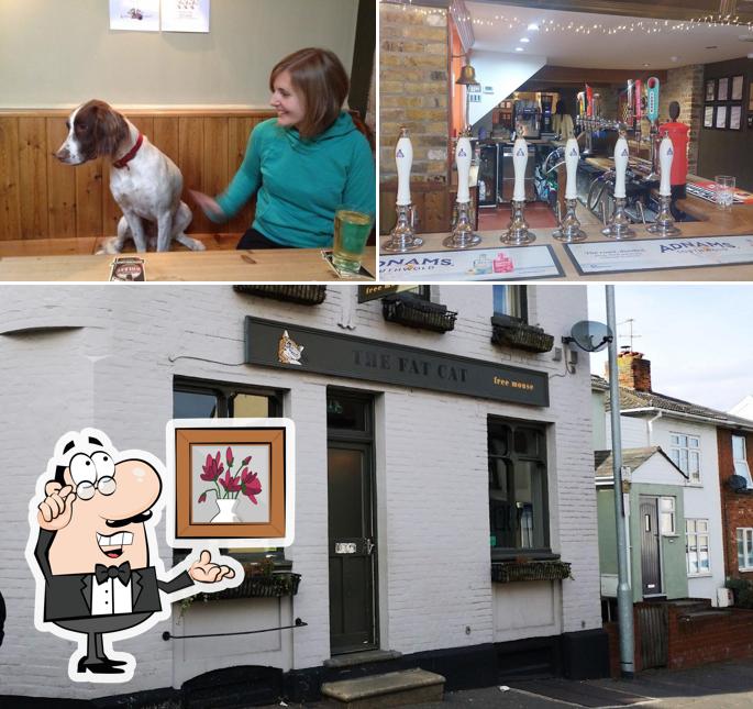 The Fat Cat, Colchester - Restaurant menu, prices and reviews