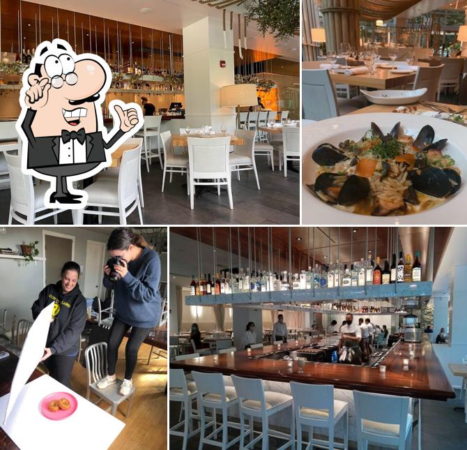 Avli on The Park, Chicago - Restaurant menu, prices and reviews
