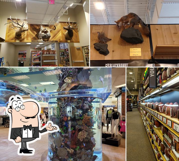 Scheels in Billings - Restaurant reviews