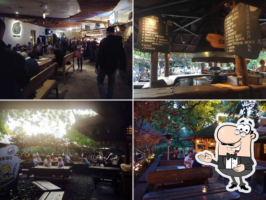 LOLEK grill & bar, Warsaw, Rokitnicka 2 - Restaurant reviews