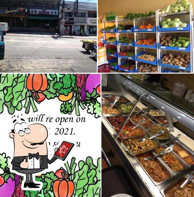 Bodhi Vegetarian Restaurant, Quezon City - Restaurant menu, prices and ...