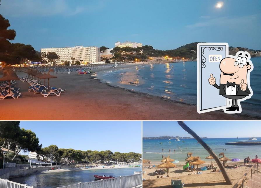 Bar Torà, Carrer Platja, s/n in Peguera - Restaurant reviews