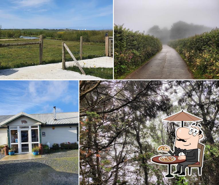 Little Pig Farm Shop in Bude - Restaurant menu and reviews
