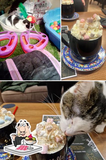 Cafe Meow, Blackpool - Restaurant menu, prices and reviews