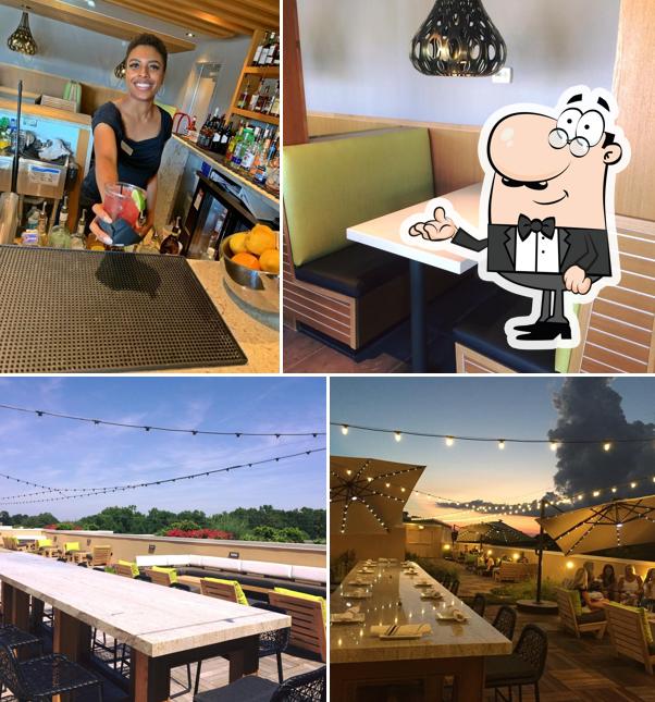 Green Roof Lounge in Oxford - Restaurant reviews