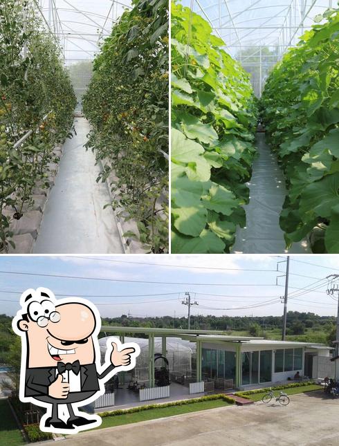 Ampere Origin Farm restaurant, Khlong Nueng