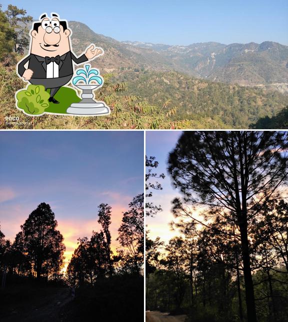Raj.pundir Maggie point KIMADI, Dehradun - Restaurant menu, prices and ...