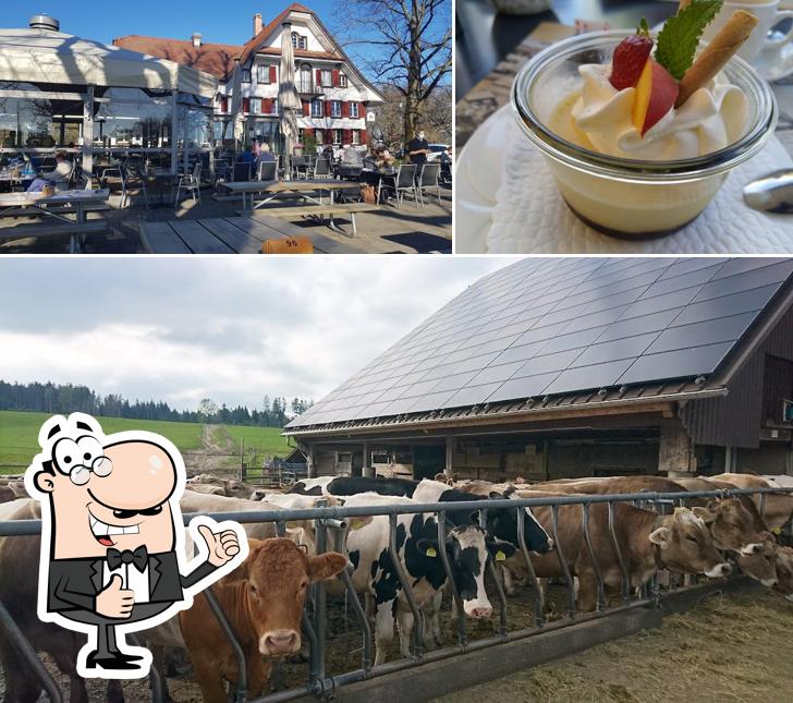 Alpwirtschaft Horben, Beinwil (Freiamt) - Speisekarte, Preise und ...