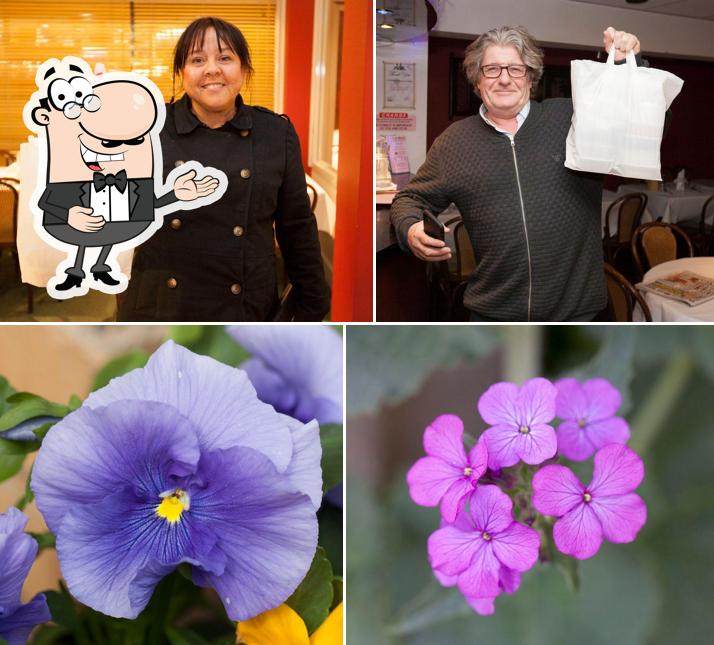 Top 5 restaurants with egg fried rice in Walton-on-Thames, december ...