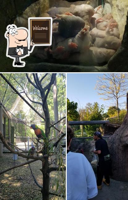 Zoo Auditorium in Cleveland - Restaurant reviews