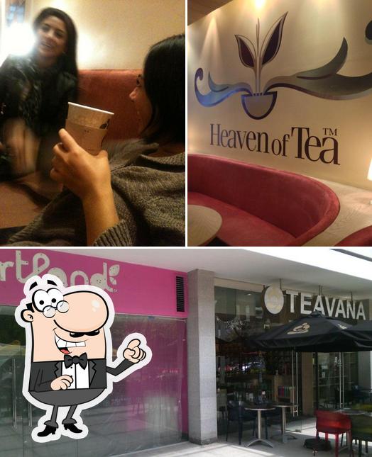 Teavana, Mexico City, Avenida Presidente Masaryk 111 - Restaurant reviews