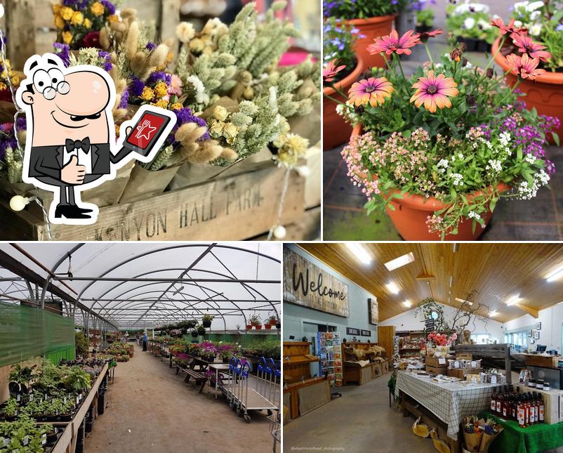 Kenyon Hall Farm in Warrington - Restaurant menu and reviews