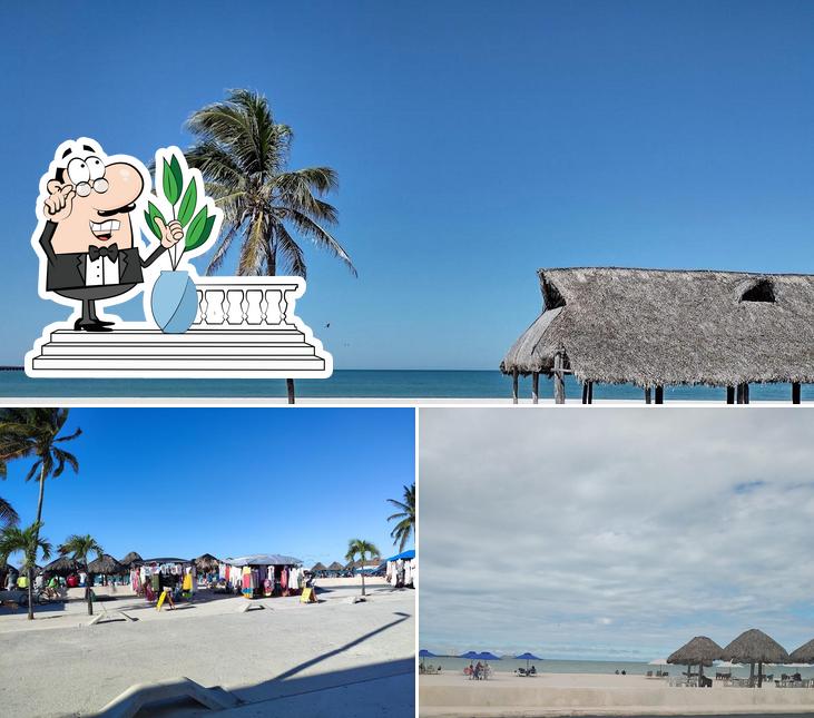 Los Mariscos de Chichí, Progreso - Menú del restaurante, precios y reseñas