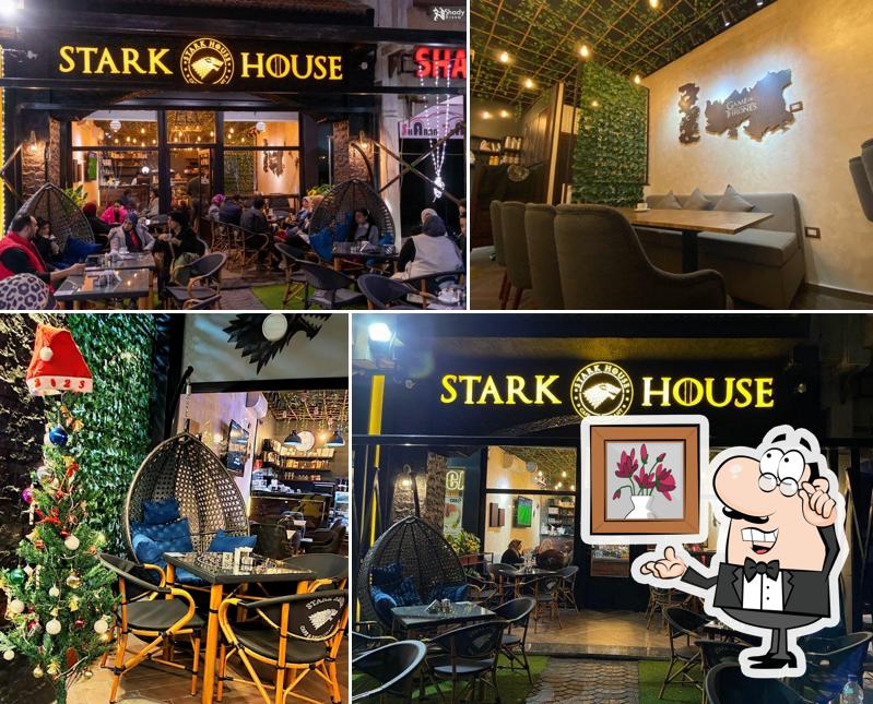 Stark House cafe, Port Said - Restaurant reviews