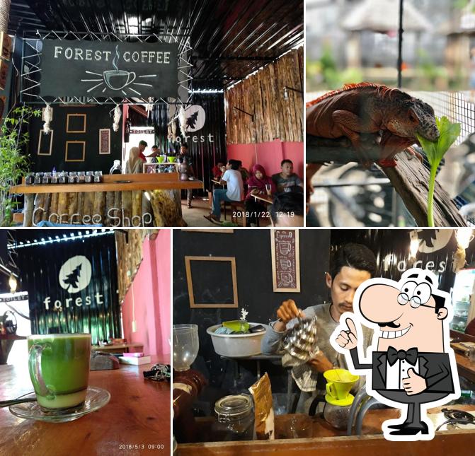 Forest Coffee cafe, Indonesia - Restaurant reviews