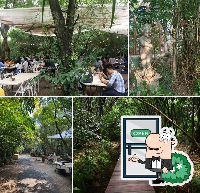 Little Tree Garden Cafe, Tha Kham - Restaurant reviews