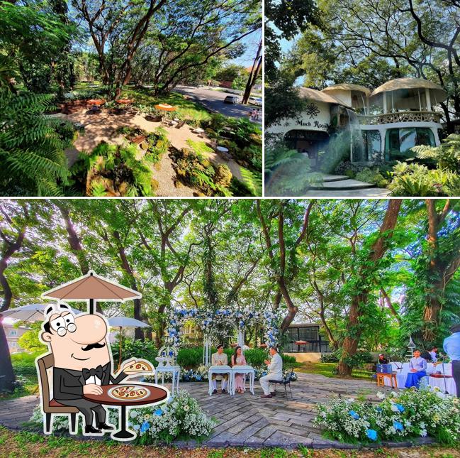 Much Room Cafe, Chiang Mai - Restaurant menu, prices and reviews