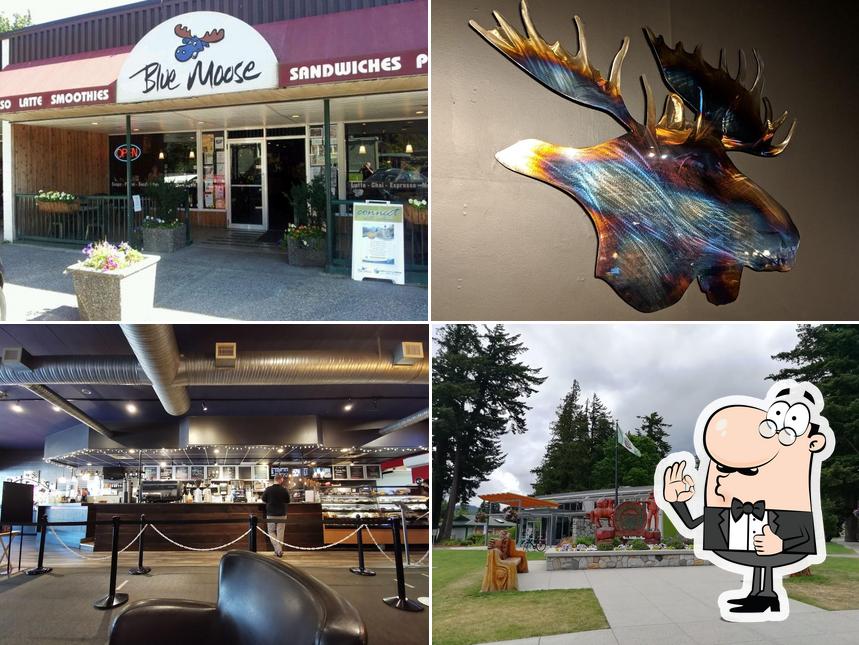 Blue Moose Coffee House in Hope - Restaurant menu and reviews