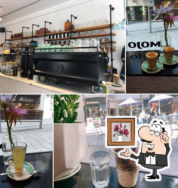 Mojo Vulcan Lane in Auckland - Restaurant reviews