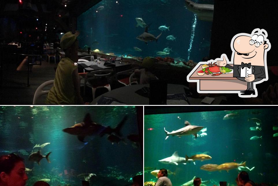 Sharks Underwater Grill, Orlando - Restaurant menu, prices and reviews