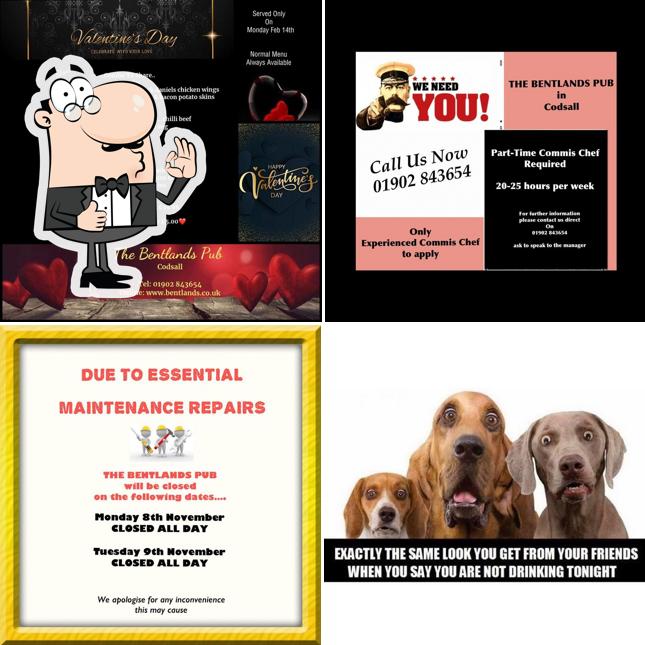 The Bentlands, Wolverhampton - Restaurant menu, prices and reviews