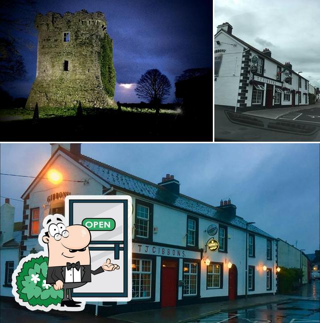TJ Gibbons' Bar in Shrule - Restaurant reviews