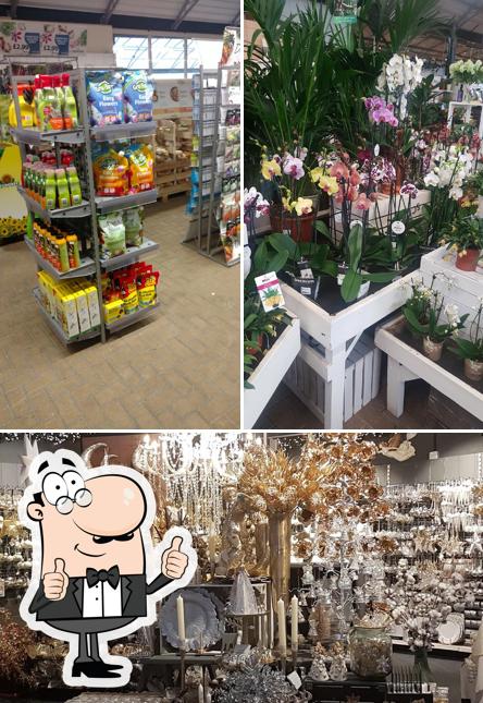 St Peters Garden Centre in Worcester - Restaurant reviews