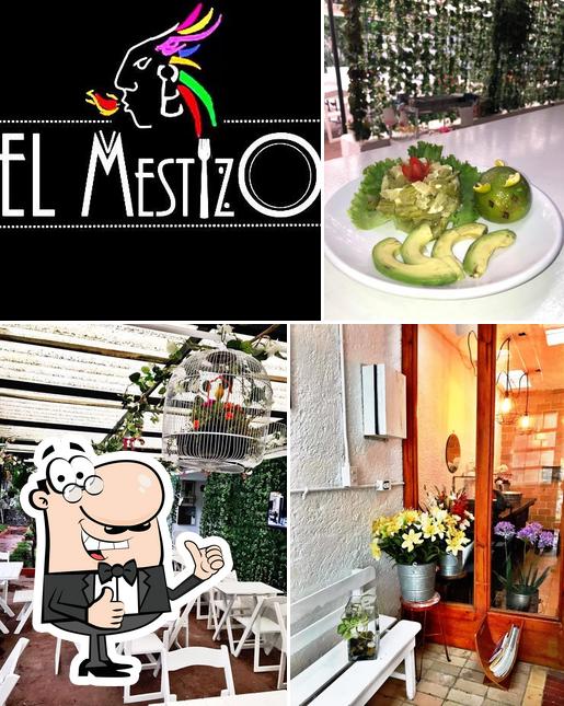 El MestizO restaurant, Mexico City, Av. Insurgentes Sur 3825 ...