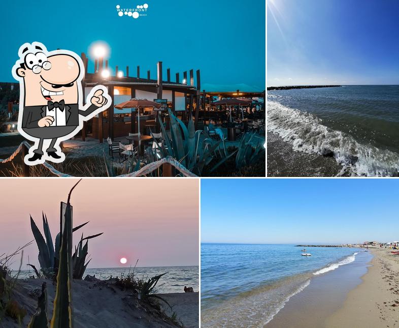 Waterfront Beach ristorante, Focene - Menu e recensioni del ristorante