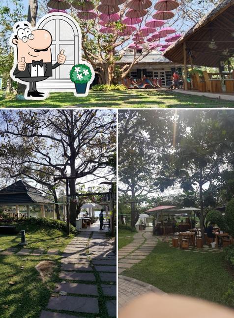 Tree & Tide Riverside Cafe, Bang Len - Restaurant reviews