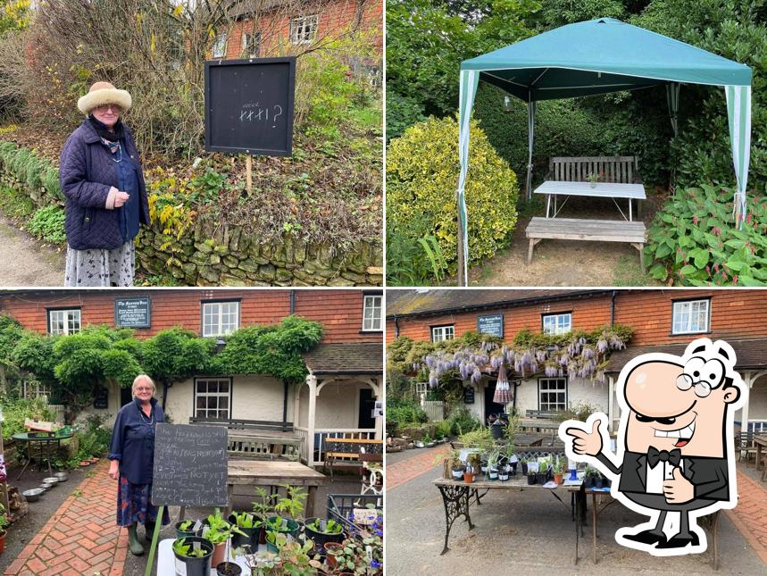 The Harrow, Steep in Petersfield - Restaurant menu and reviews
