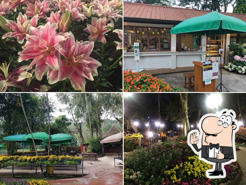 Galae Restaurant, Chiang Mai - Restaurant menu, prices and reviews