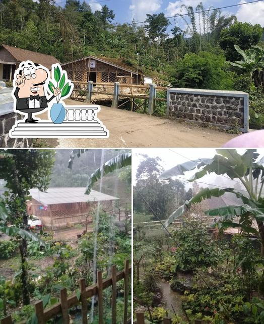 Puncak Coffee Wonosalam cafe, Indonesia - Restaurant reviews