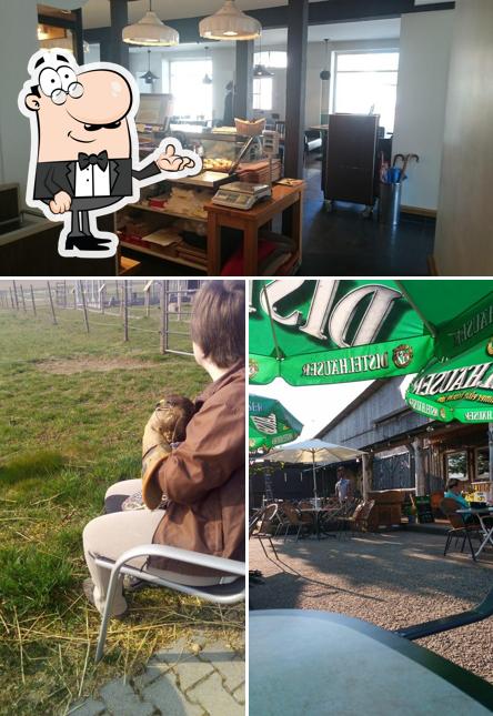 Moonlight-Ranch restaurant, Eppingen - Restaurant reviews