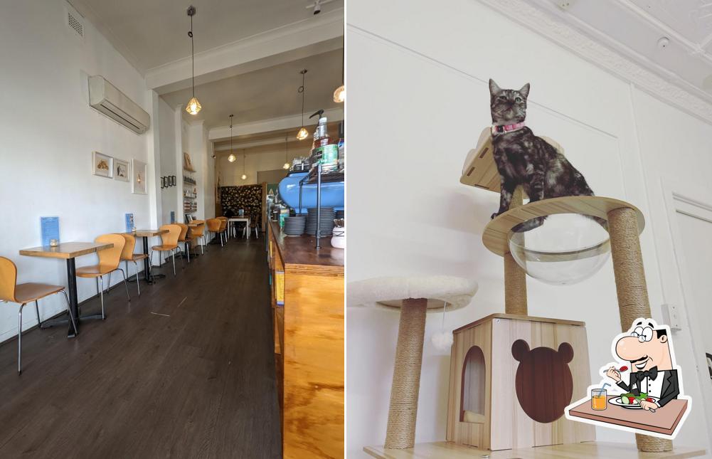Meow Cafe, Epping - Restaurant menu, prices and reviews