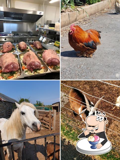 Doniford Farm Park, Watchet - Restaurant menu, prices and reviews