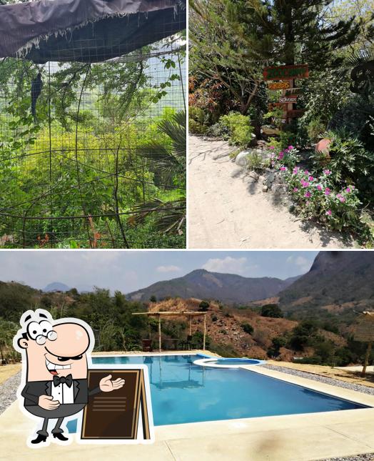 Zoocarry Carrizal - Menú del restaurante, precios y reseñas