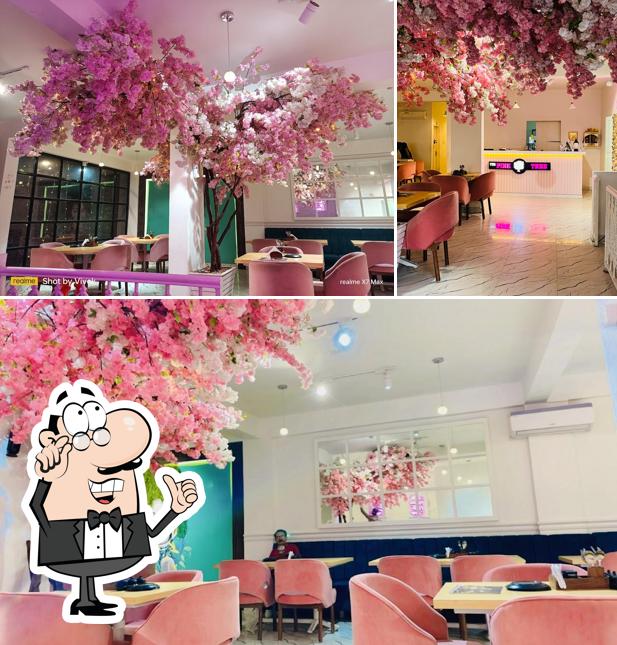 THE PINK TREE, Muzaffarpur - Restaurant menu, prices and reviews