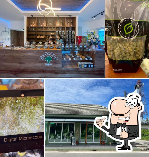 Broccoli Cafe, Khok Kloi - Restaurant reviews