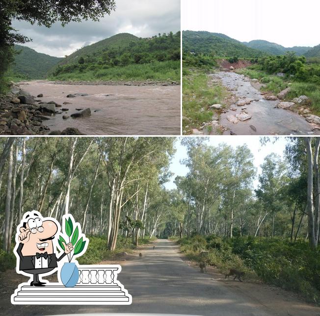 River Valley Resort Thapli, Malla - Restaurant menu, prices and reviews